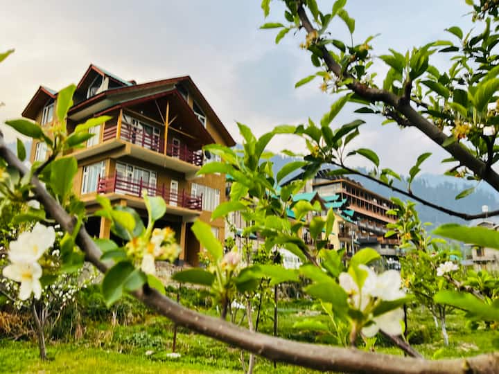 Apple Orched Cottage - Manali