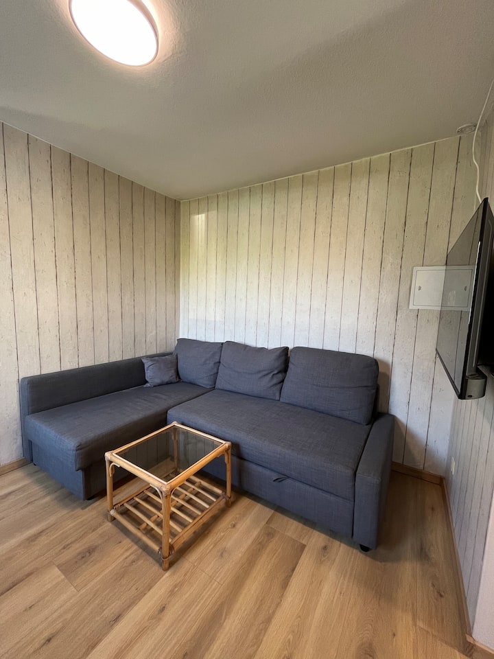 Gemütliches 1-zimmer-apartment - Hannover