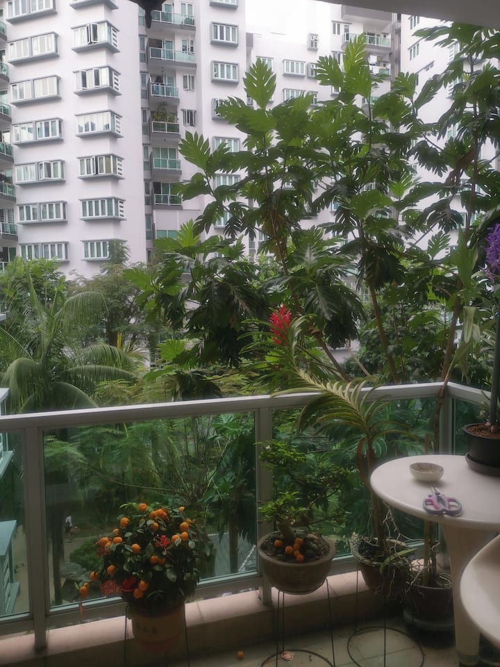 绿叶 - Singapur