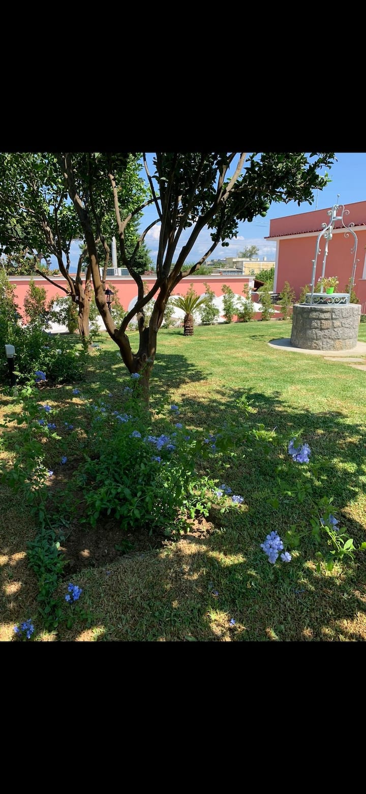 Blue Dream Apartment - Procida