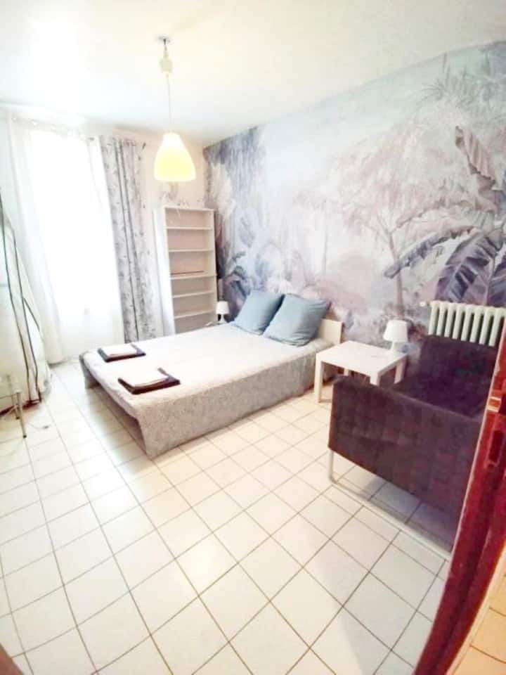 Bel Appartement Entier Proche De Paris. - Clichy
