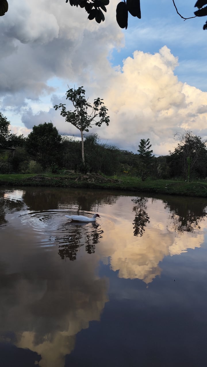 Fazenda Iguaçu Banho Floresta - Bonito
