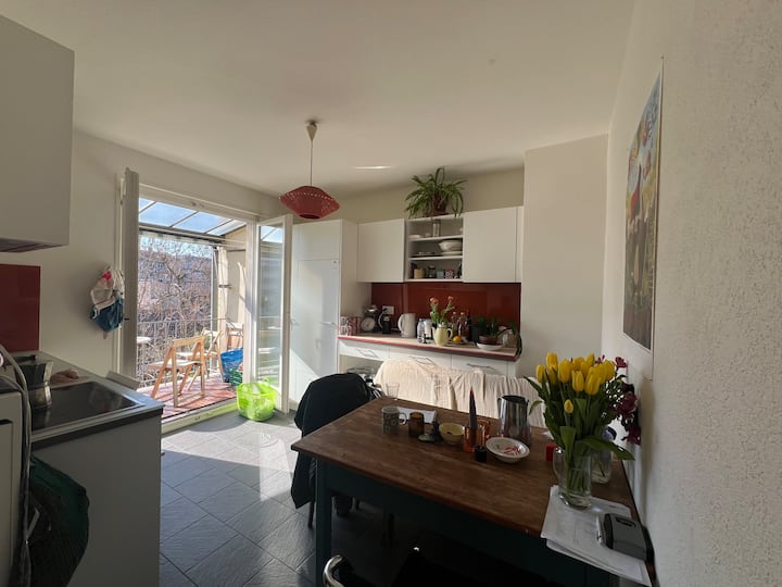 Cozy Appartment In Basel City - Basel