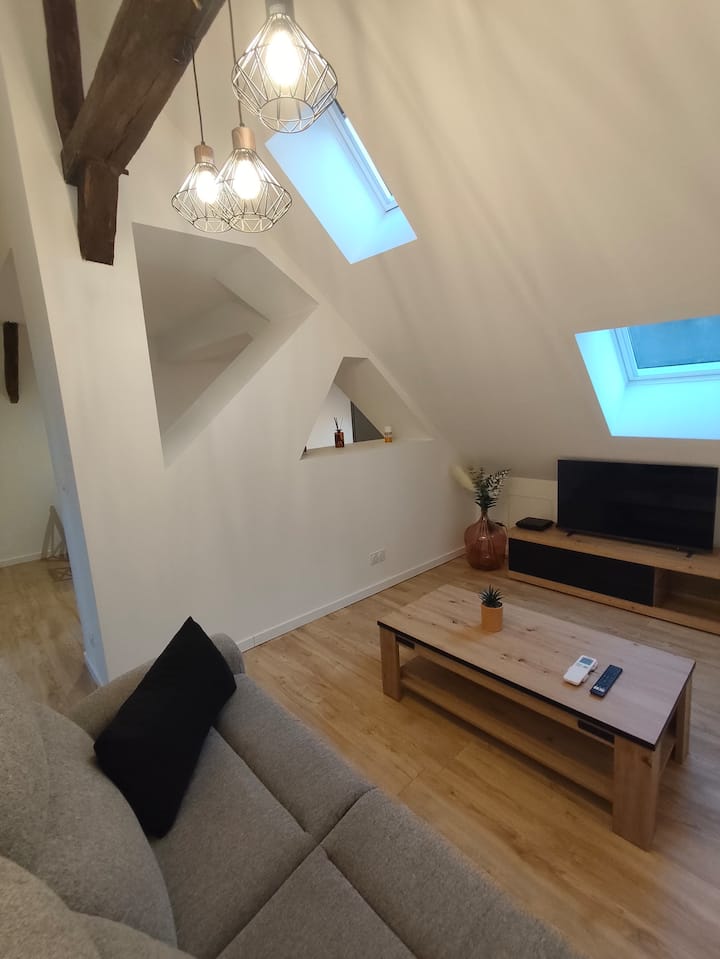 T3 Climatisé Hyper-centre - Dole