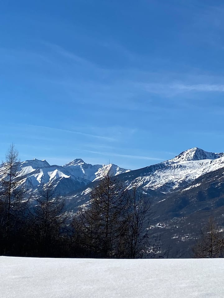 Chalet Lo Buc Relax Tra I Boschi - Sampeyre