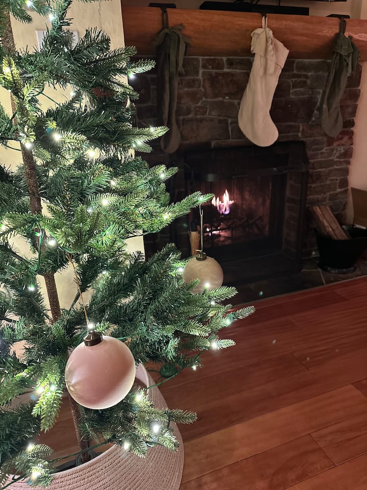 Winter Magic In Tahoe! Family Fun At Our Condo! - Tahoe City, CA