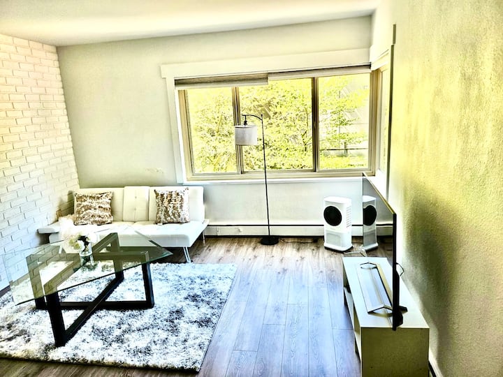 Stylish Condo In Seattle - Seattle, WA