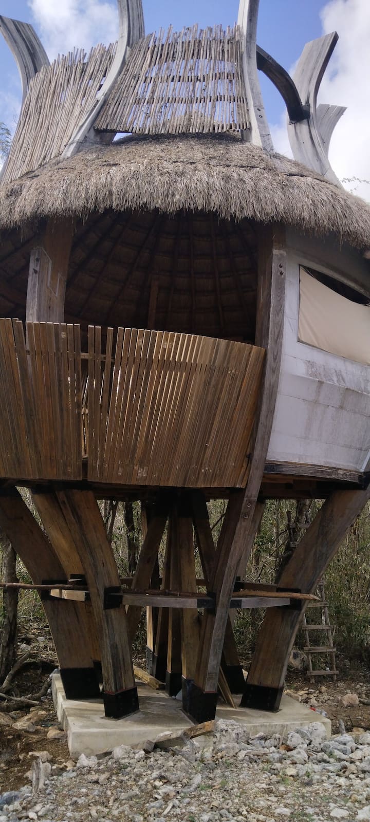 Casa Del áRbol - Akumal