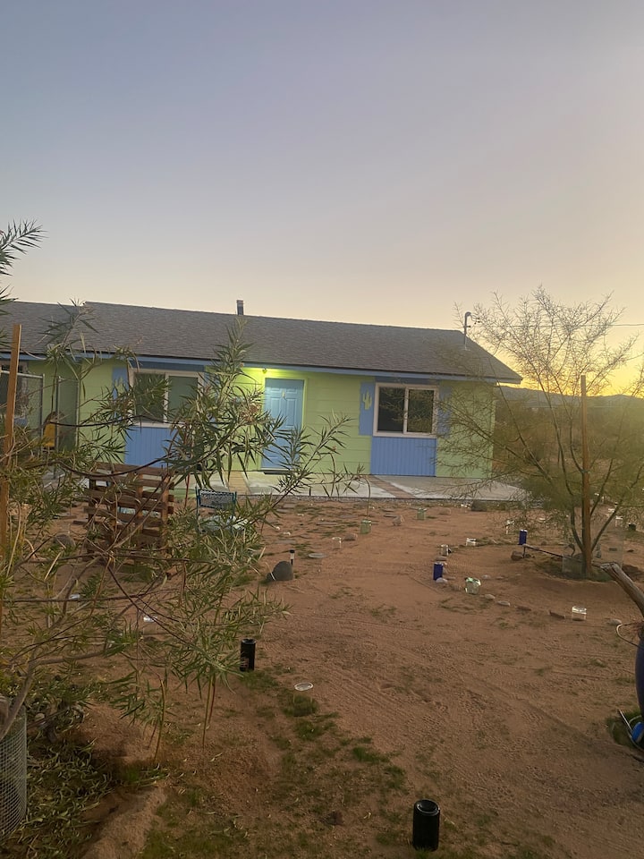 Cactus Wren - Joshua Tree National Park, California