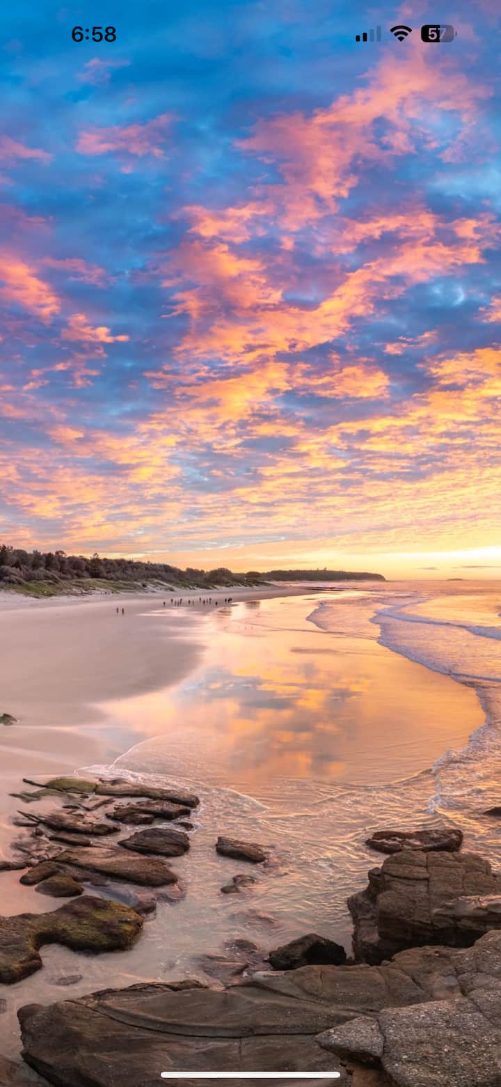 Saltbush Coastal - Newcastle