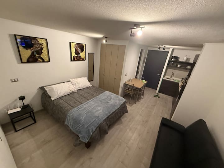 Zona Turística Centro Acparkin. Gratis Wifi 5g-s8. - Santiago