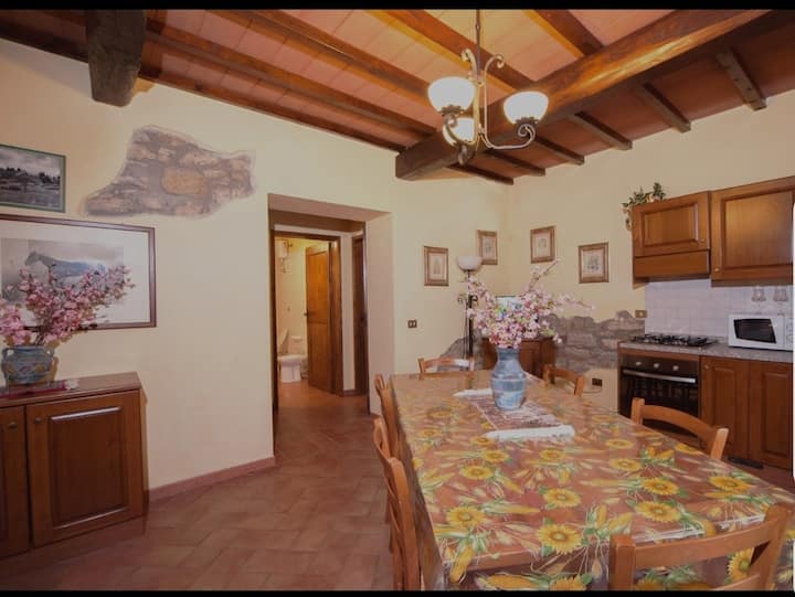 Appartamenti Immersi Nel Verde Per Tanto Relax - Volterra