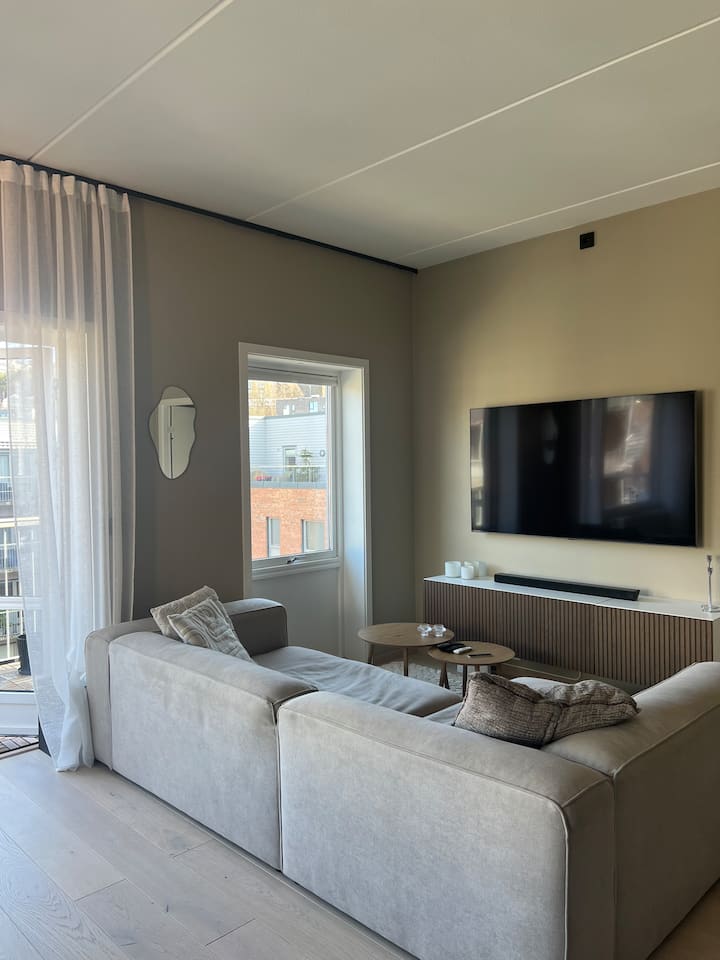 Toppleilighet Med Balkong - Oslo