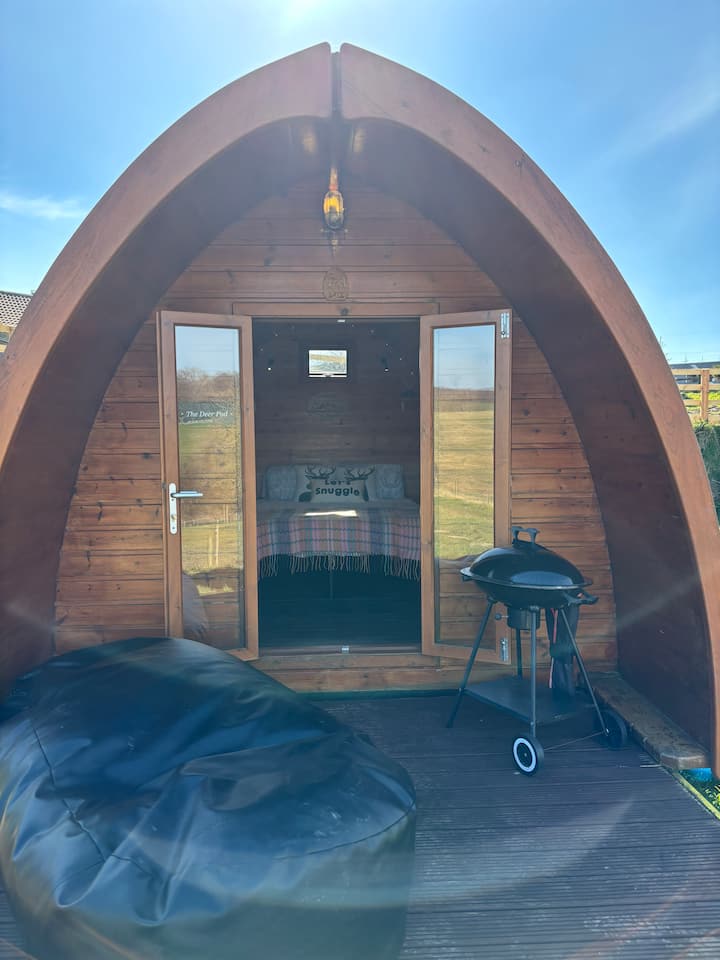 The Hare Pod. - Ravenscar