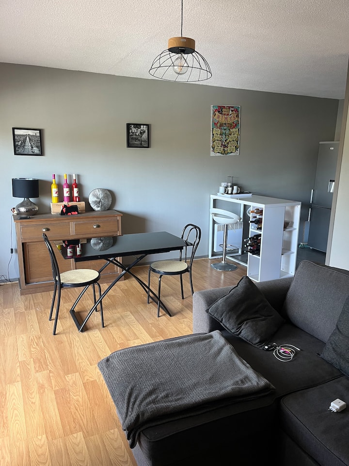 Appartement Cosy Et Calme En Plein Centre - Mont-de-Marsan
