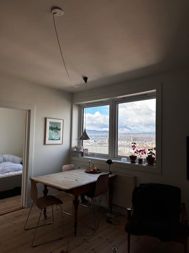 Panoramaleilighet I Gamlebyen - Oslo