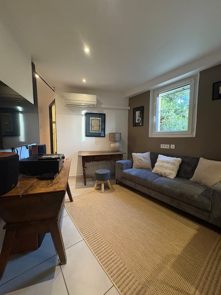 Maison Pattieu*arles*jardin - Arles