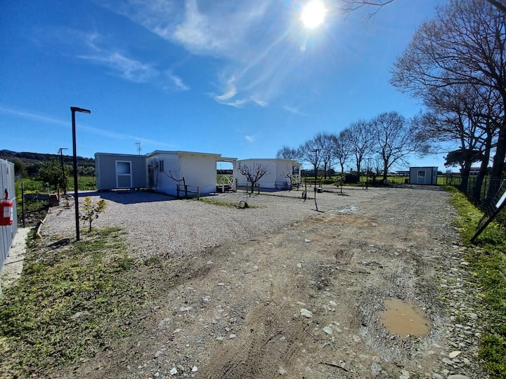 Posto Tenda In Agricampeggio Elea-velia - Palinuro