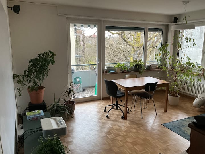 Gemütliche Wohnung In Stadtnähe - Winterthur