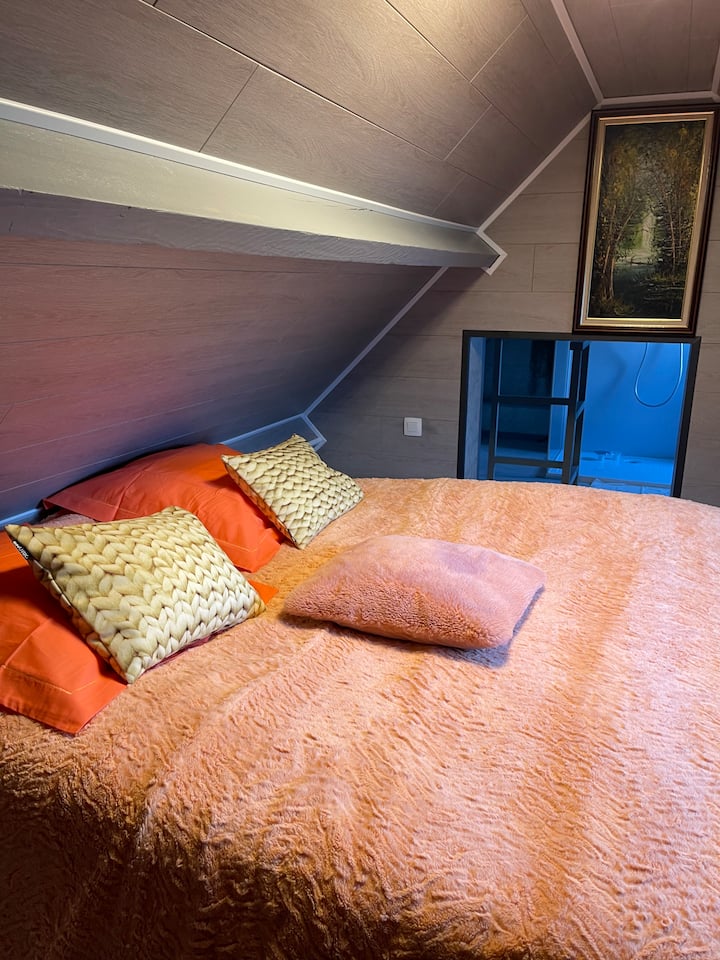 Une Chambre Confortable + Douche - Bornem