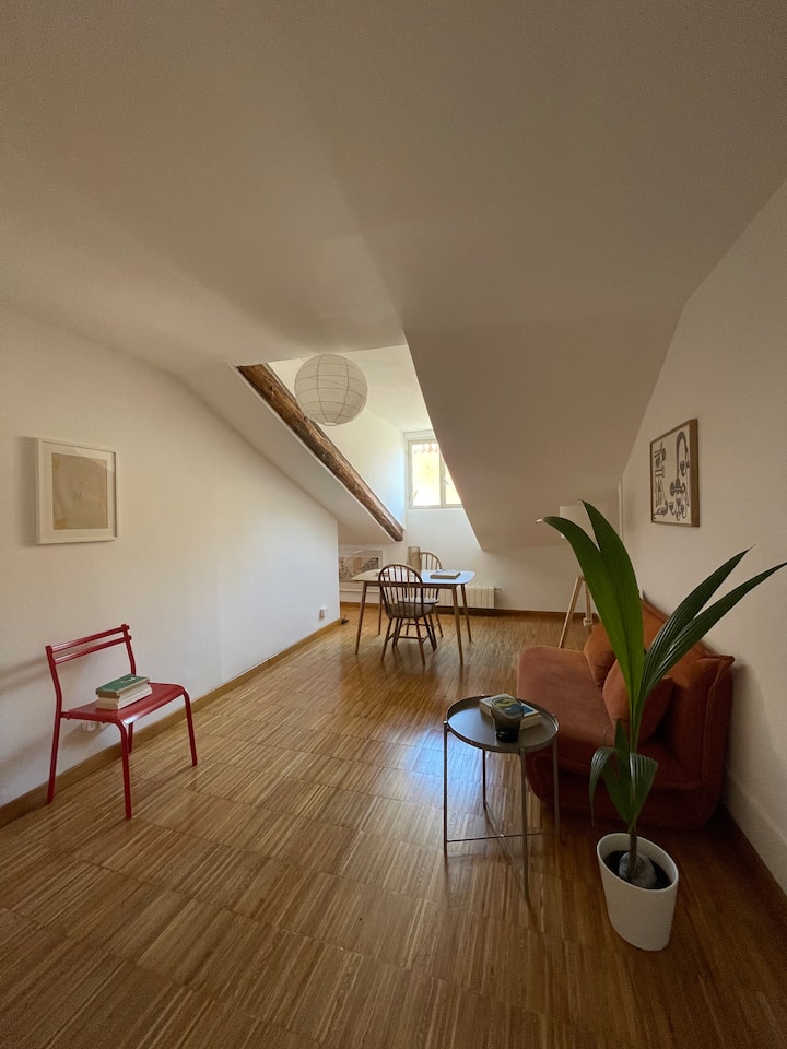 Charming Apartment Torino - Centro, Vanchiglia - Turin