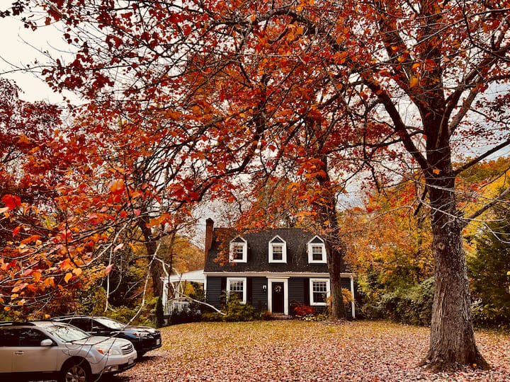 The Blue House - Lynchburg