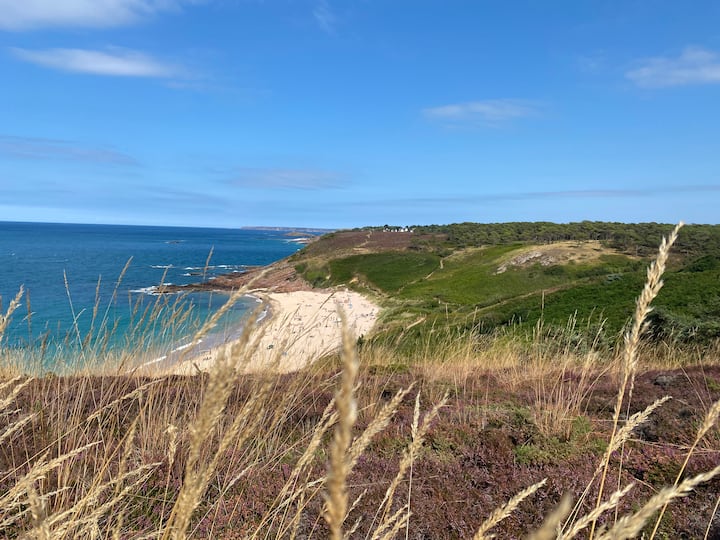 Appartement T2 Plage Et Commerces à Pieds - Erquy