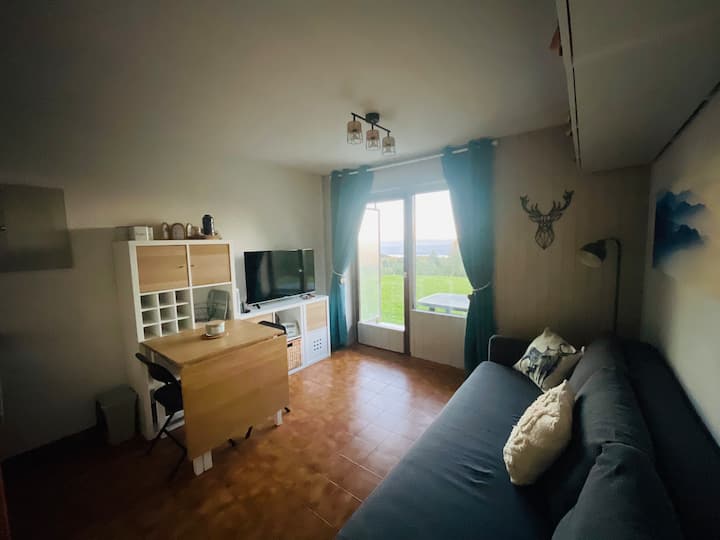 Studio Bleuets Du Léman Vue Sur Lac - Thollon-les-Mémises