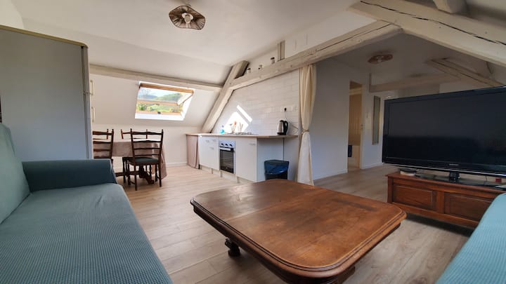 Appartement - Ribeauvillé