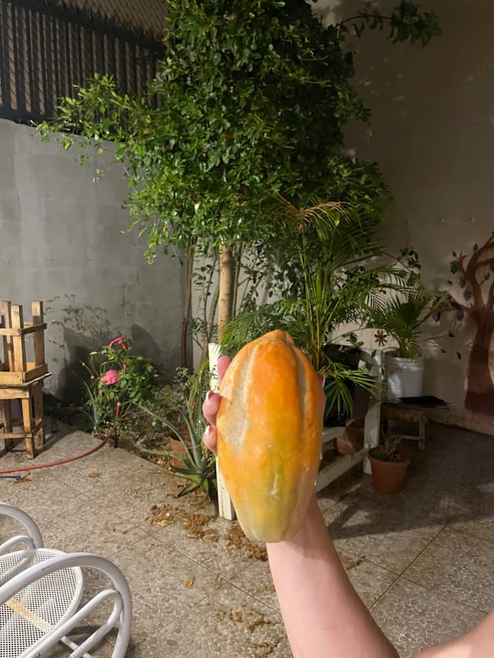 Hermosa Casa En Hermosillo - Hermosillo