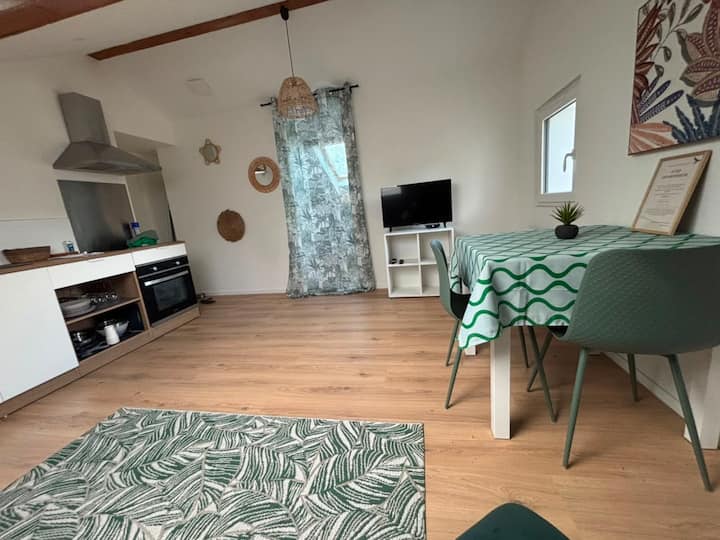 Studio -Aux Nids Des Hirondelles - Thonon-les-Bains