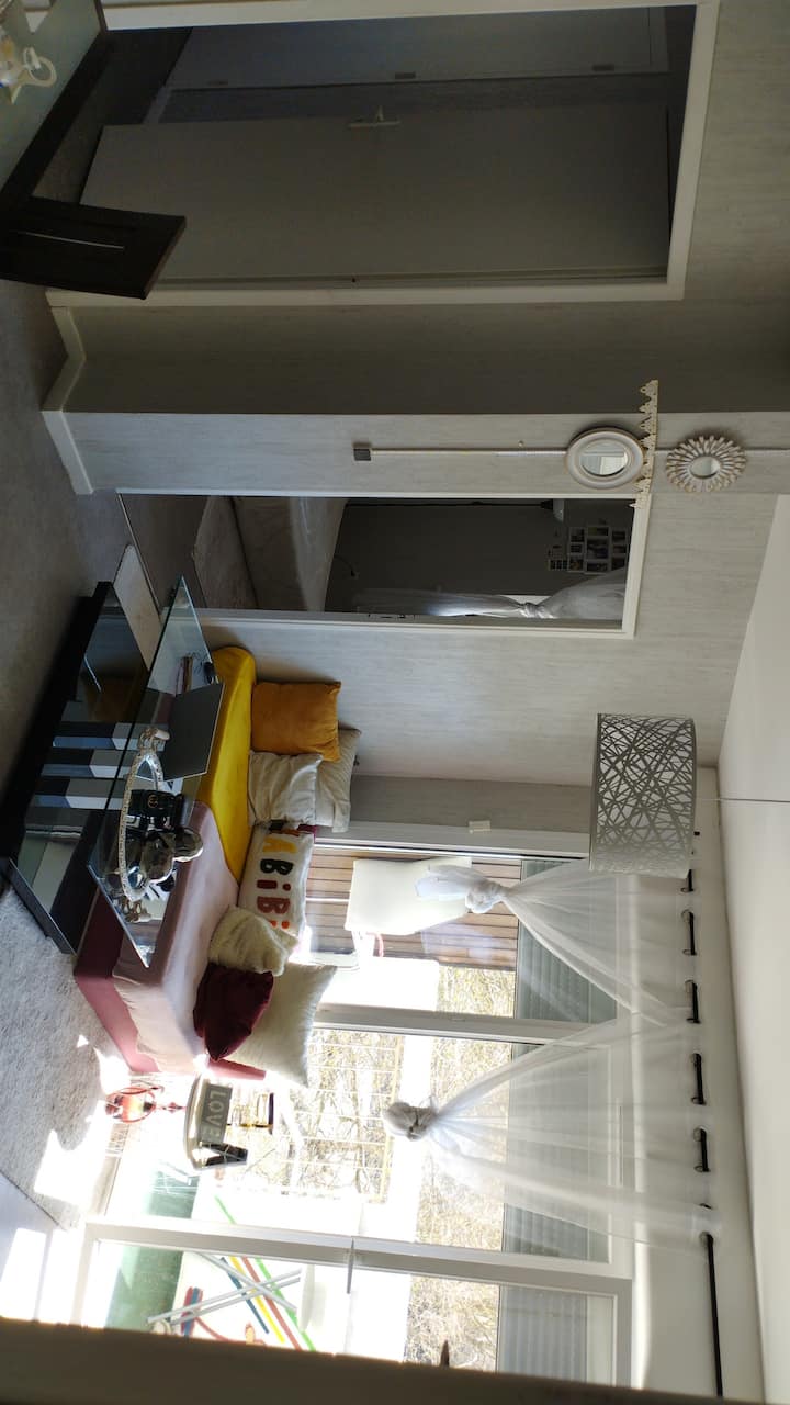 Chambre Propre à Louer Dans T3 - Grenoble