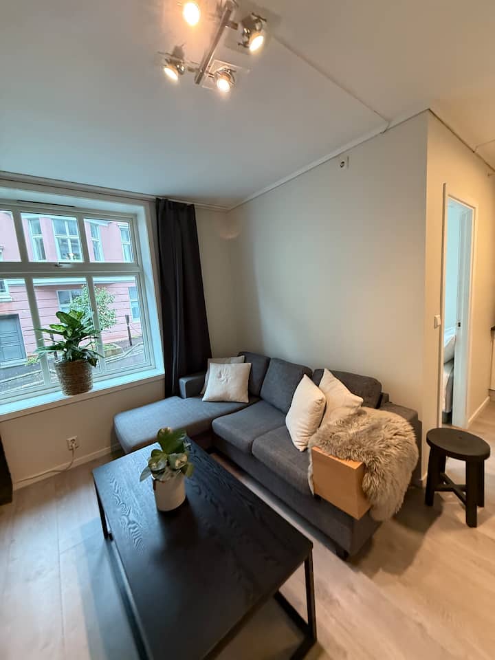 Central Beauty - 4 Bedrooms - Bergen