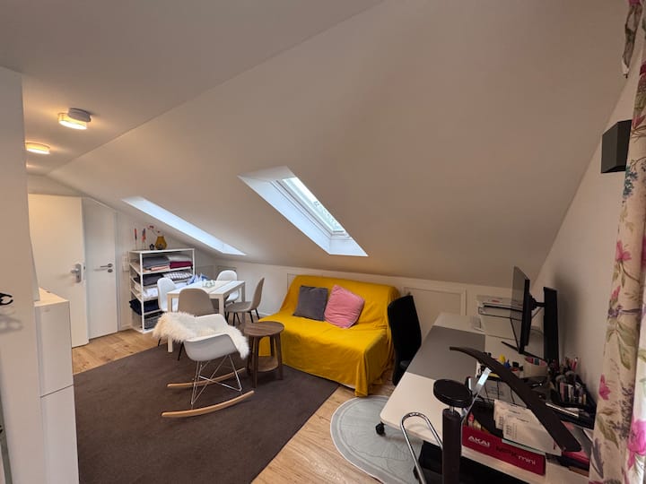 Studio 5 Minutes To Munich Expo, Desk And Screen - Munich