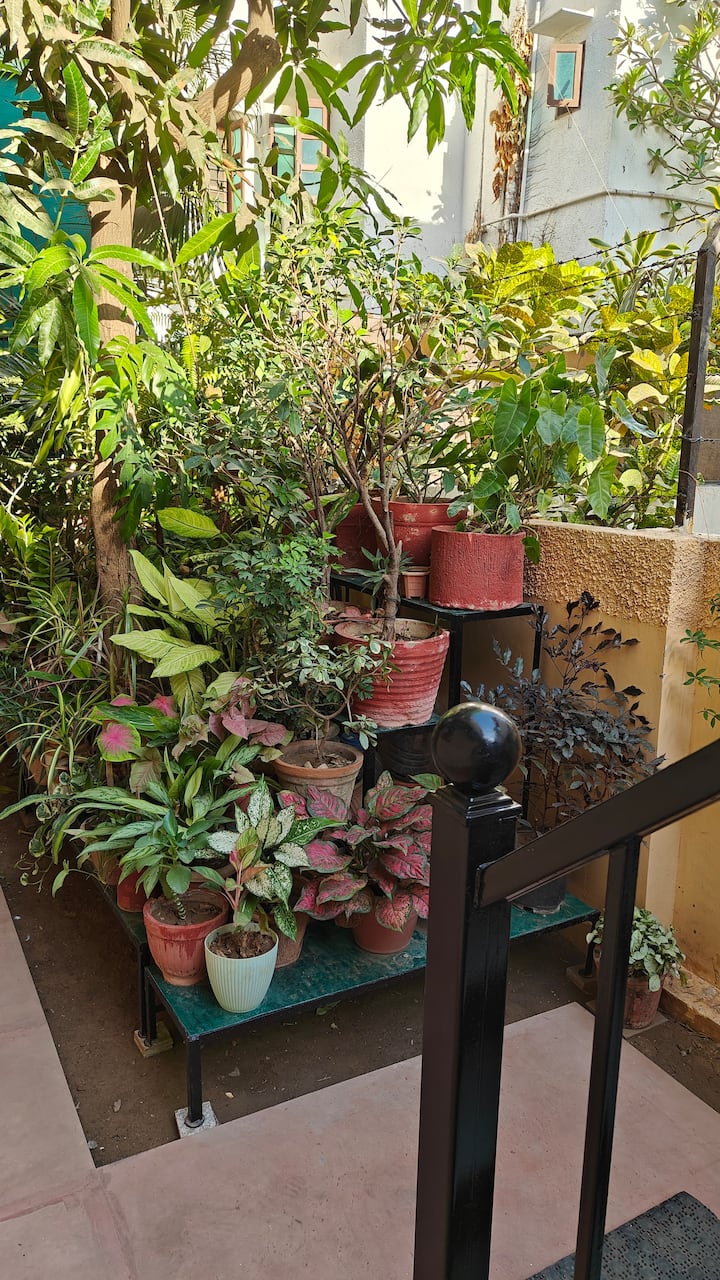 Green Home Stay 2 - Vadodara