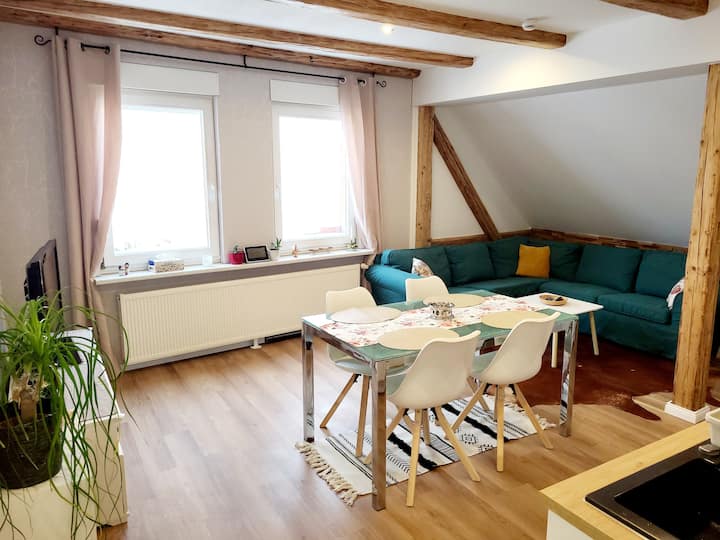 Radler-rast Am Elberadweg, 3 Schlafzimmer - Burg (bei Magdeburg)