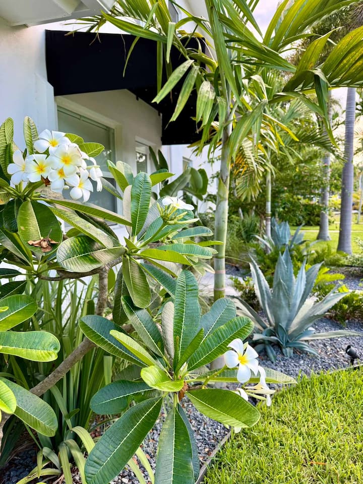 Updated 1 Bedroom In Boutique Mid-century Building - Fort Lauderdale
