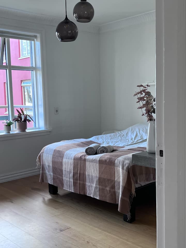 Cozy Apartment In The Centre Of Reykjavík - Reikiavik