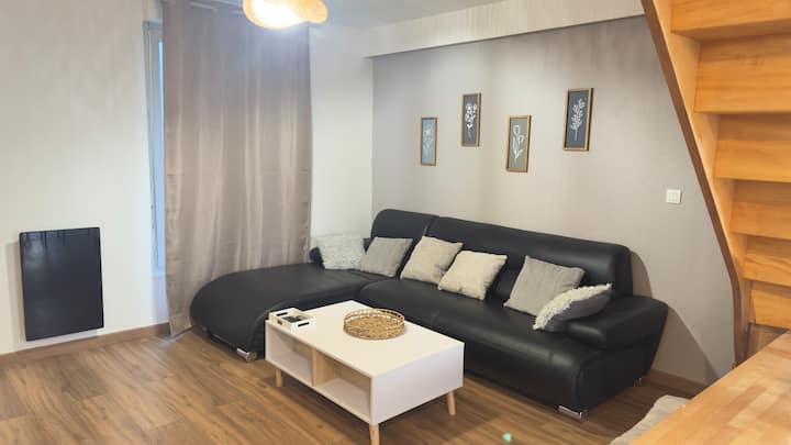 Triplex En Centre-ville - Châlons-en-Champagne