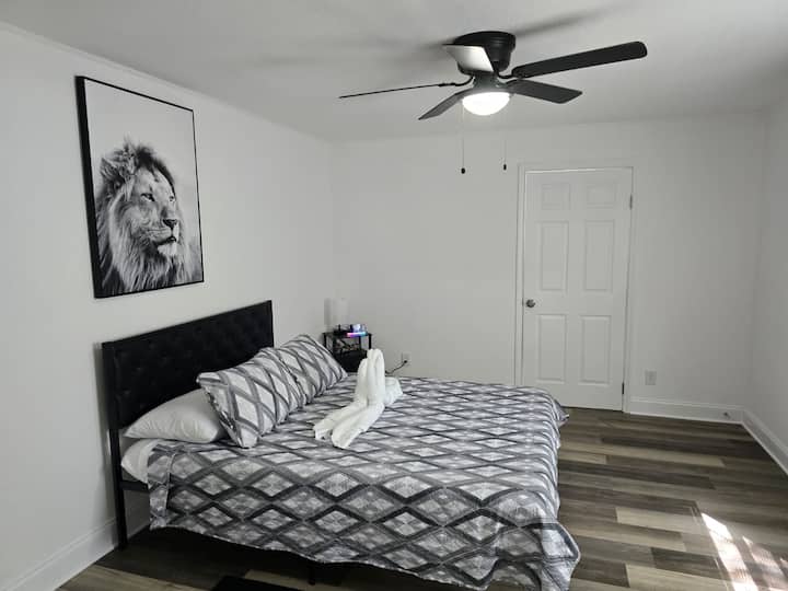 The Paradise Apartment 1 - Tampa, FL