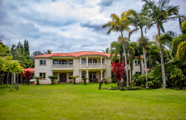Modern & Comfy Gem: Oceanfront Views, Balcony, Pkg - Hakalau, HI