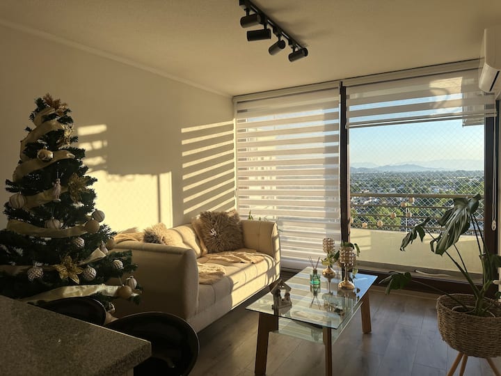 Departamento De Excelencia De Servicio - Pudahuel