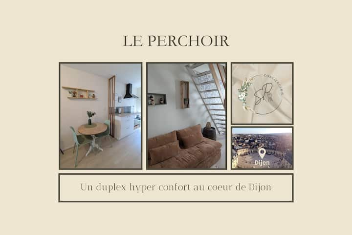Le Perchoir Du Centre ! Au Coeur De Dijon - Dijon