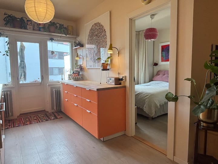 Central, Quiet, Authentic Oslo Home. No Parties. - Oslo