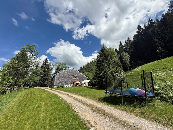 Rustic Farm House (Sleeps 10+) - Gex