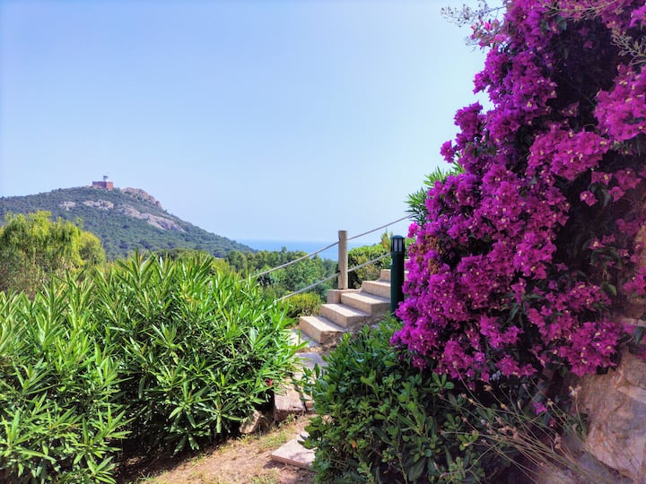 T2, Vue Mer 28m2,clim,wifi,jardin, Piscines,4 Pers - Agay