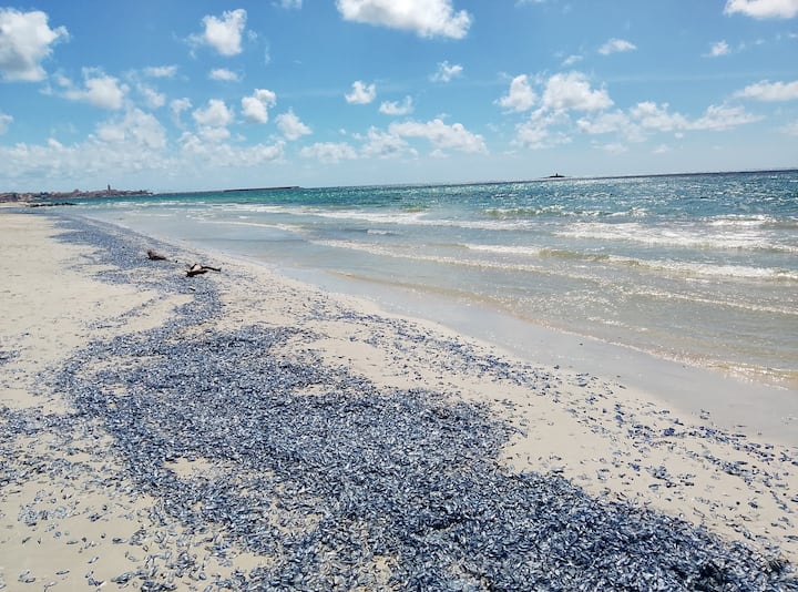 Casa Marì: A 2 Passi Dal Mare - Alghero