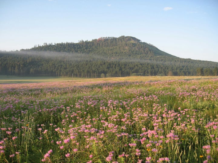 Stunning Dome -Slps 6, No Pets, W/ Rv Site, Serene - Custer State Park, South Dakota