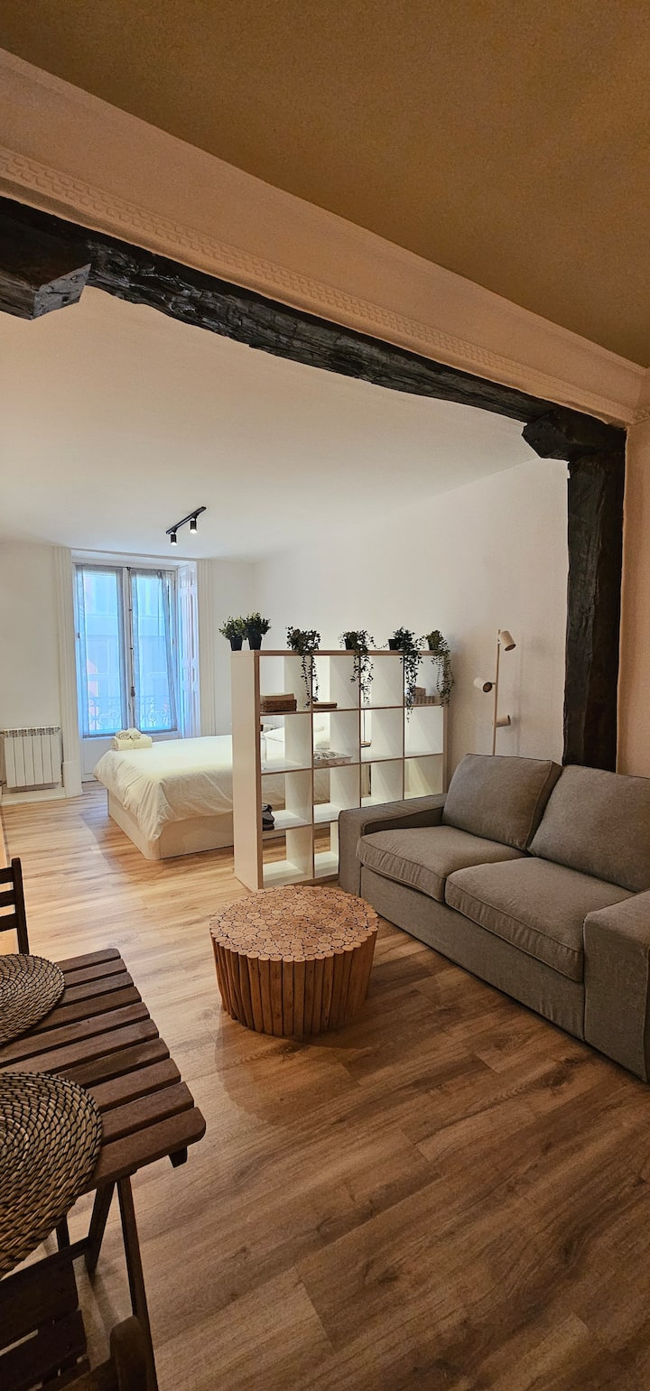 Encantador Estudio Casco Viejo - Bilbao