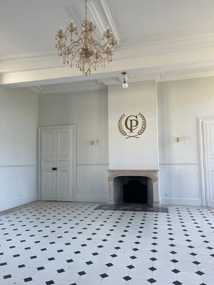 Château De Passy- Appartement «&nbsp;Salon Vivaldi&nbsp;» - Villeneuve-sur-Yonne